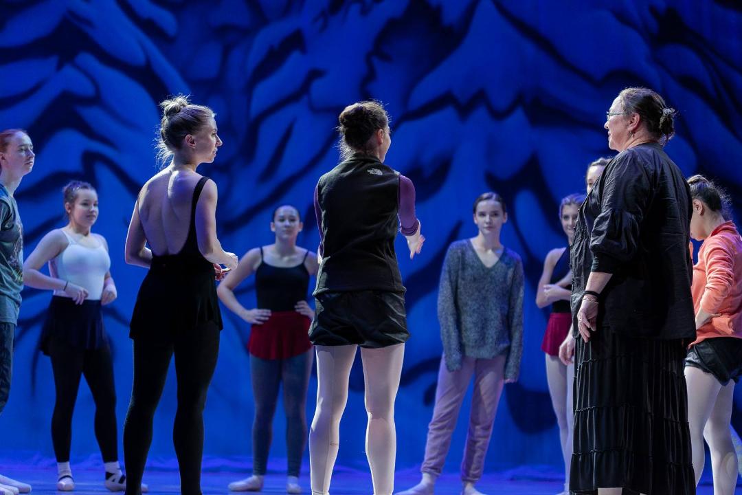 Tuzer Ballet – A non-profit, publicly supported arts organization ...